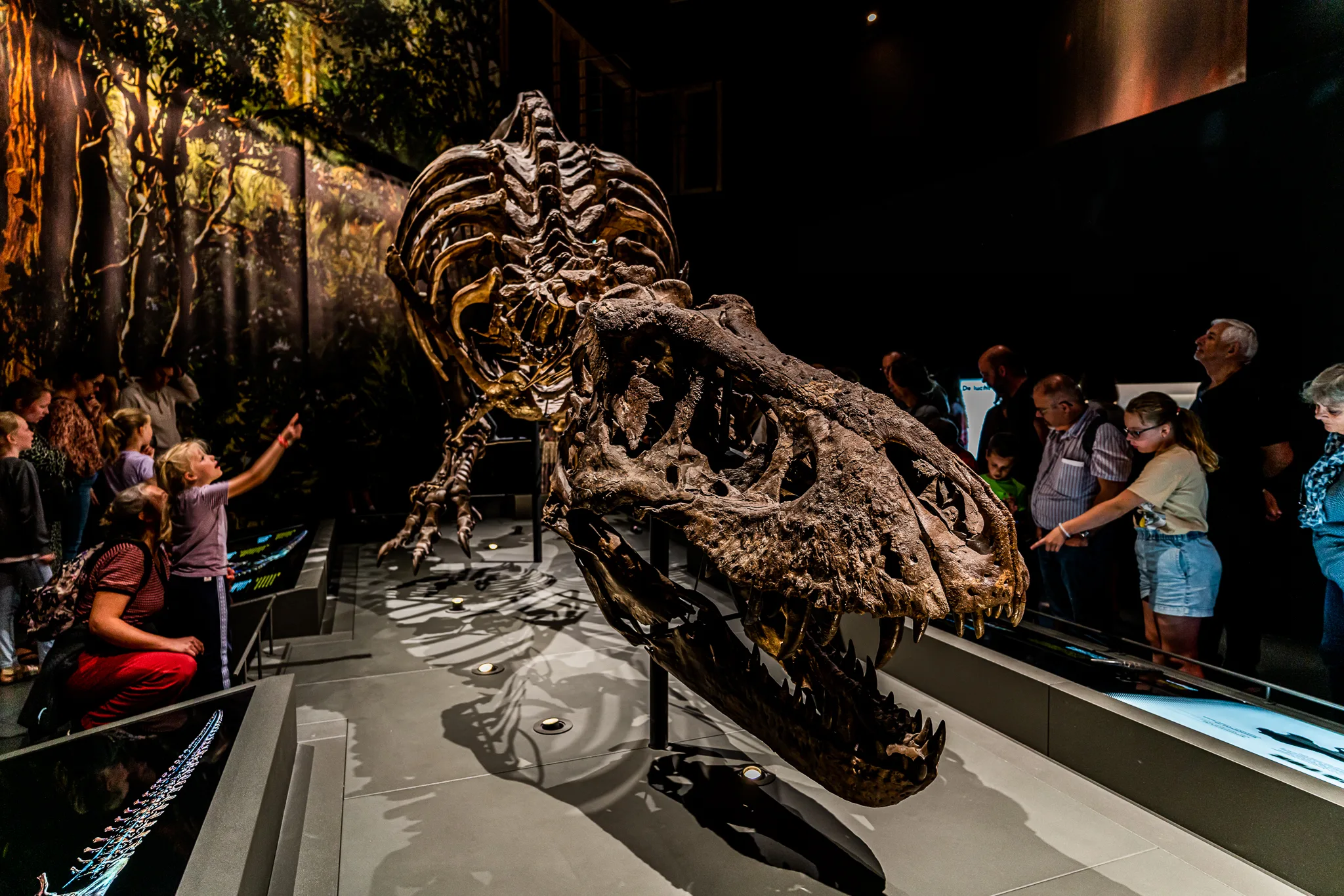 Exploring Immersive Interactive Experiences | MoMoLab Exploring Immersive Interactive Experiences | MoMoLab